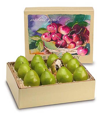 Fruit Gift Baskets - French Pears Fruit Gift Box